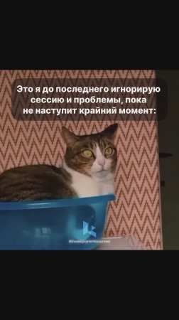 Держим до последнего момента