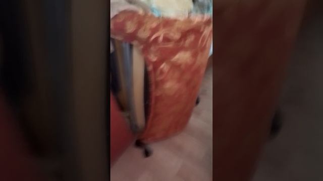 милый котик 8 серия 2 сезона