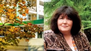 Виктория Токарева _Лавина_ Повесть. Все три части подряд. Читает Марина Багинская