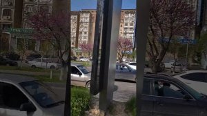 📍Shymkent #Казахстан #Қазақстан #Kazakhstan #Qazaqstan #Шымкент#Shymken