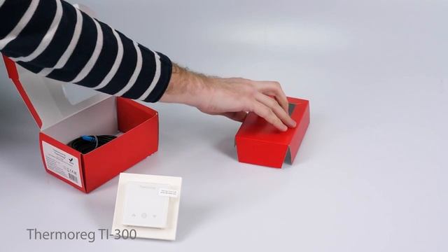 Thermoreg TI-300 - Терморегулятор