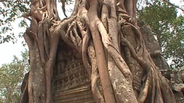 Cambodia, Angkor Wat - Камбоджа, Ангкор Ват