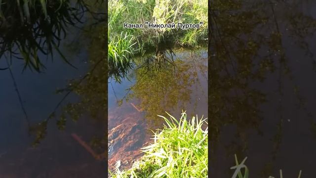 И зачем мне это надо 🤔🙂 Чищу канал, запруда...