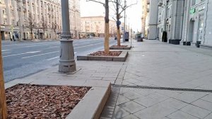 г. Москва, Тверская улица. Вазоны. 20.03.2025г.