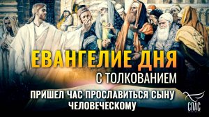 “Пришел час прославиться Сыну Человеческому.” / Евангелие дня