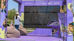 Фестиваль «Лапки» 2025