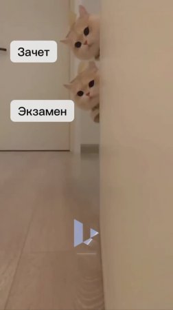 Все это ждет нас...