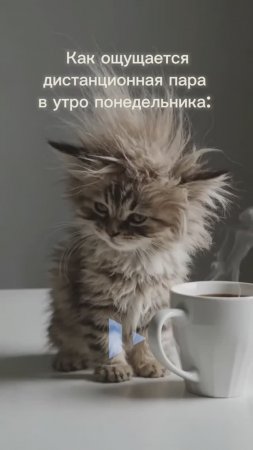 Утро понедельника - самое помятое утро