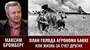 Максим Бромберг. План Бакке