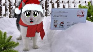 ПЕРВЫЙ СНЕГ в ЖИЗНИ КОТЯТ! МУРКА показывает ЗИМНИЙ ШТАБ КОТОВ А НУ КА ДАВАЙ КА ЭНИ пишет ДЕДУ МОРОЗУ