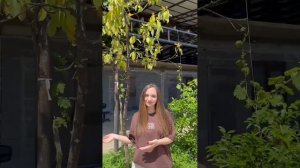 кк Баракиат Абхазия Гудаута ул Кистрикская 23