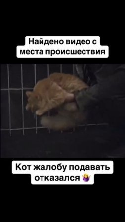 Я не Олег, но 🤷♀️ … #юмор #смех #прикол #shorts