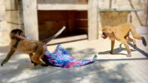 КОМЕДИЙНЫЙ ЭКШЕН! Нешуточная борьба за ПАРЭО! Степа отыгрывается на Тосе, Люся - на Мане!