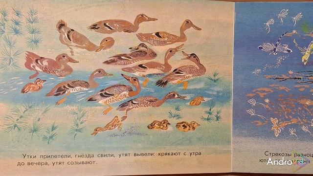 КНИЖКИ-МАЛЫШКИ.
Бобровый пруд