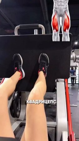 Постановка ног при жиме
