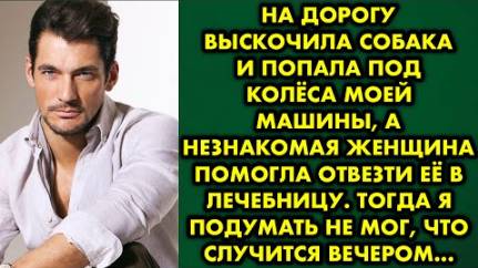 На дорогу выскочила собака и попала под колёса моей машины, а незнакомая женщина помогла отвезти её
