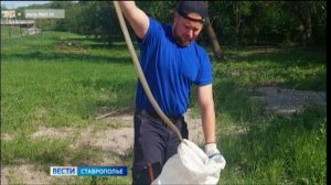 На Ставрополье активизировались змеи