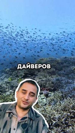 Снорклинг на острова… ну просто мечта ✨  Пишите «ПРАЙС», вышлем прайс-лист таких экскурсий 🙌🏼  🤗