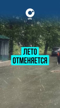 Снег в мае | Новосибирск удивляет погодой