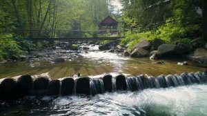 Лесной водопад. Музыка для релакса .Музыка для сна.Белый шум. музыка для расслабления. Природа. Йога
