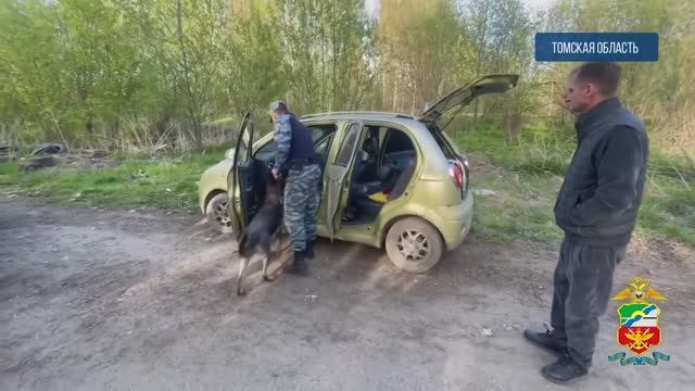 Иностранец, доставивший в Томск для сбыта почти 1 кг мефедрона, задержан транспортными полицейскими