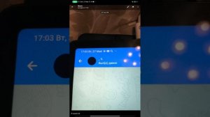 срочные новости ‼️‼️‼️‼️‼️‼️‼️