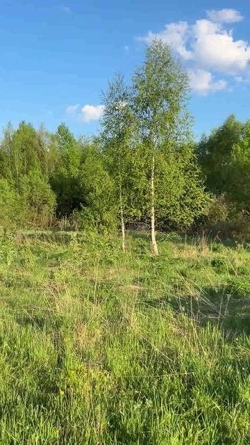 Участок 10 соток промназначения в дер. Следнево Владимирской обл.