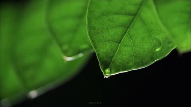 Минея 27 (14) мая
