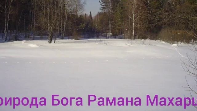 Природа Бога Рамана Махарши