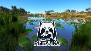 🎣 Ловим рыбу в игре Русская рыбалка 4 | Болтаем CITIZEN