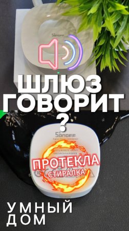 Как научить говорить Sonoff Bridge ULTRA! Протечка. Датчик двери.