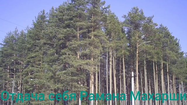 Отдача себя Рамана Махарши