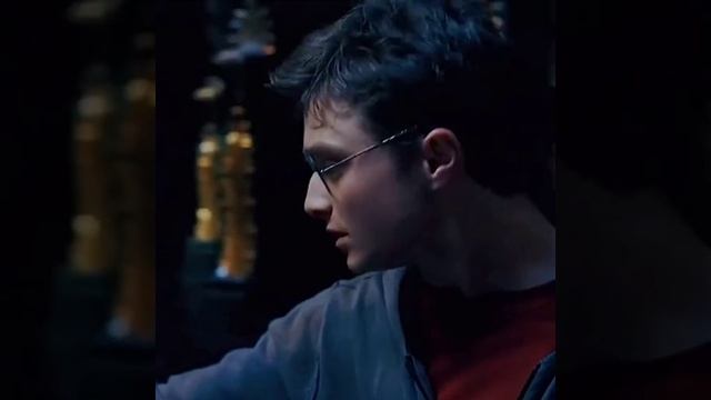 Гарри Поттер