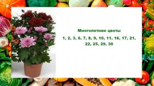 Благоприятные дни для посадки растений в мае 2025 года по Лунному календарю