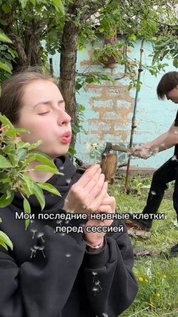 Последние нервные клетки перед сессией