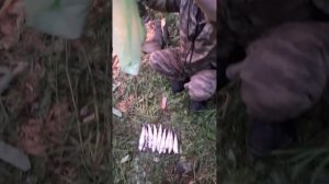 Сходили порыбачить.  На шашлык поймали. С голоду не пом