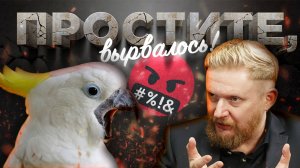 27.05.25| "Простите, вырвалось!" №204| Новости| Путин наехал на шильдостроителей, Панин бьёт Макрона