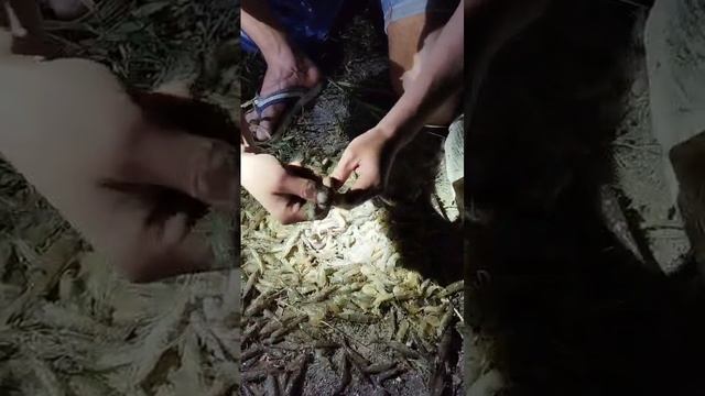 Сотрудники полиции Анапы задержали подозреваемого в незаконном вылове водных биологических ресурсов