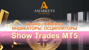 Shiw Trades MT5 - помощник новичкам в анализе сделок на форекс. Обзор в терминале брокера AMarkets.