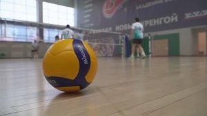 23 февраля 2024 г.
