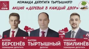 Более 600 саженцев высажено в 80 дворах за 2 года, 2025 год