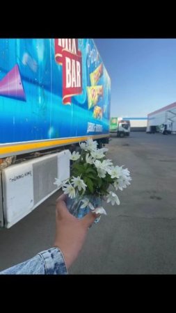 Вечерний вайб! Автор: Динара Ишбирдина #водитель #грузовик #дорога #работа #авто #автомобиль