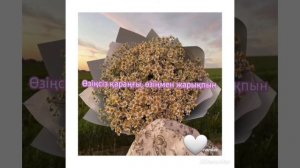 Сен гүлім 🌸/Караоке/Текст песни/