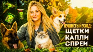 УХОД ЗА ПИТОМЦЕМ | Мои фавориты для ухода за питомцами