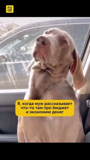 Кто узнал себя?#foodru #рецепты #юмор