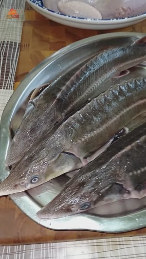 Шашлык из стерляди.