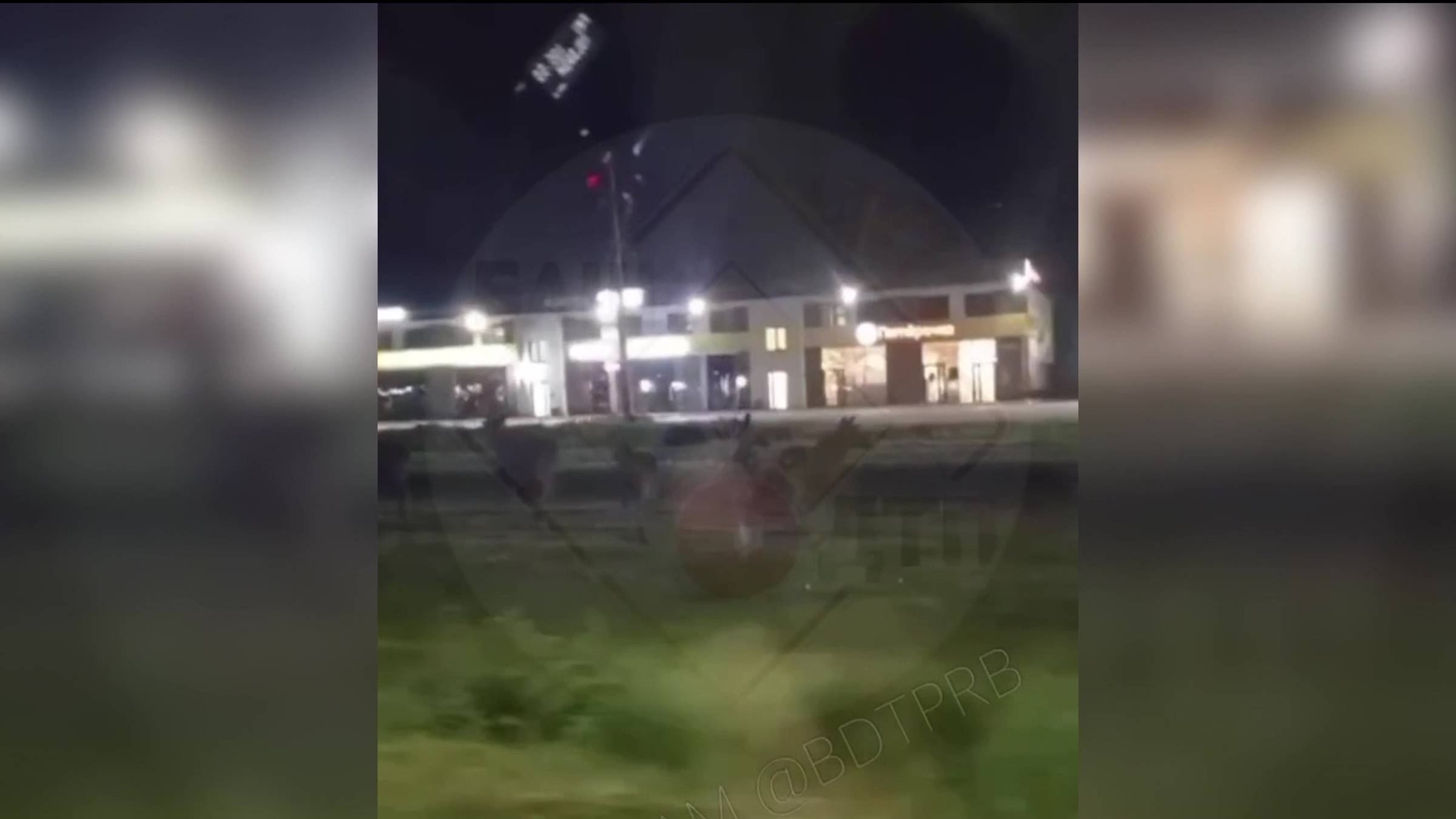 Под Уфой стадо из шести лосей гуляло по Нагаево