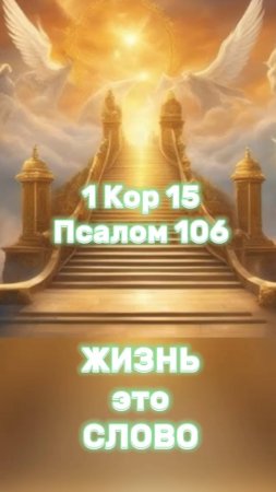 #Бог #Библия #Иисус #посланник #БиблияXXI #пробуждение #новости #люди #последнеевремя