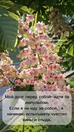 Импульс