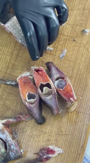 🐟Сорога вяленая — это не просто закуска, а гастрономическое путешествие в сердце северных традиций